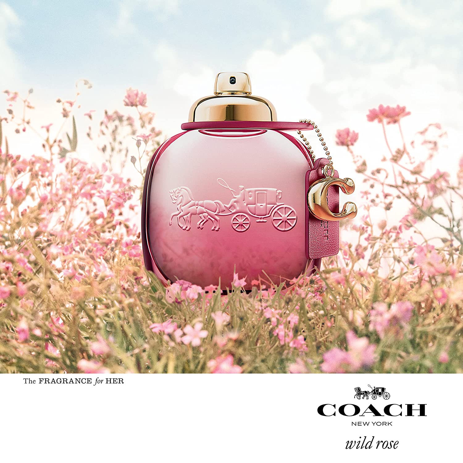Coach Wild Rose 3.0 oz EDP for women – LaBellePerfumes